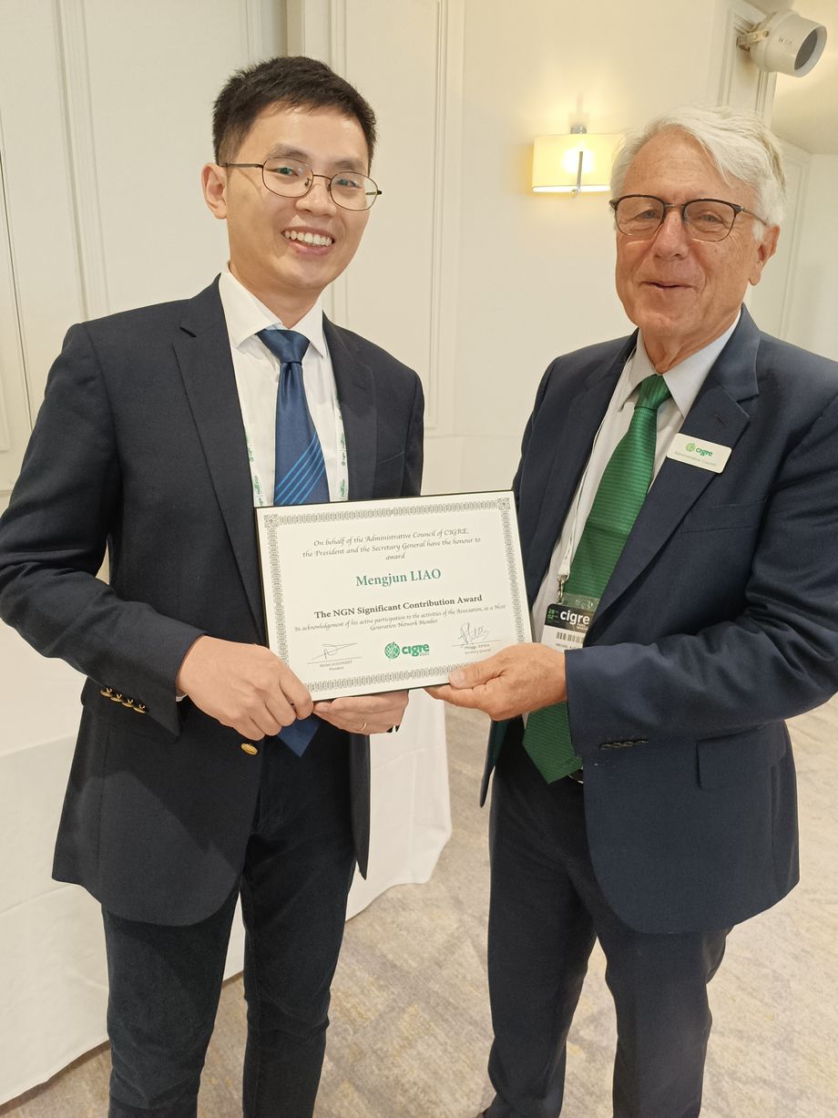 My Gains and Feelings in a CIGRE Working Group | ELECTRA